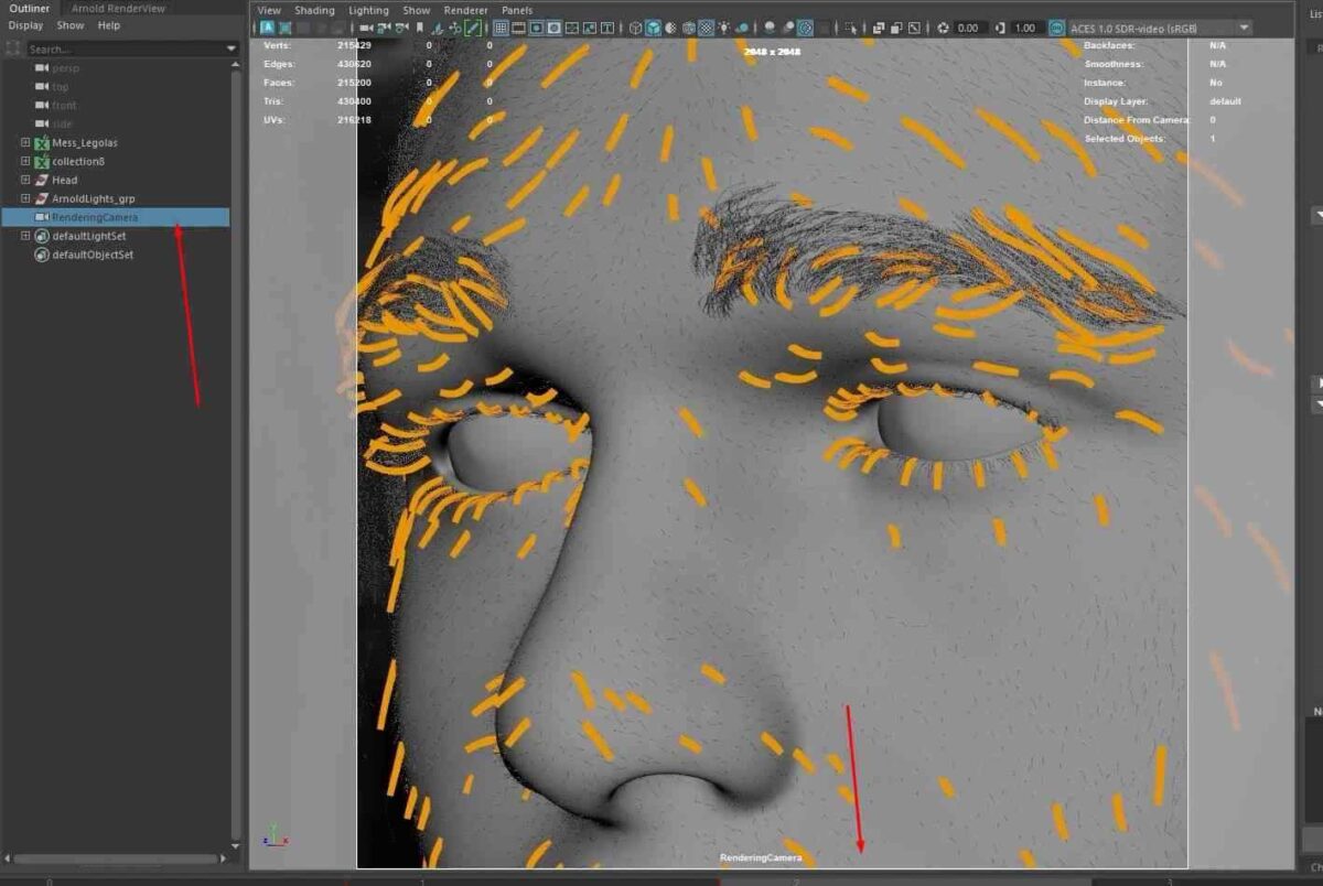 Face Rendering with Maya & Arnold: Practical Tutorial - Exercise