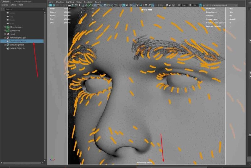 Face Rendering with Maya & Arnold: Practical Tutorial - Exercise