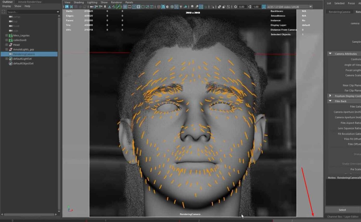 Face Rendering with Maya & Arnold: Practical Tutorial - Exercise