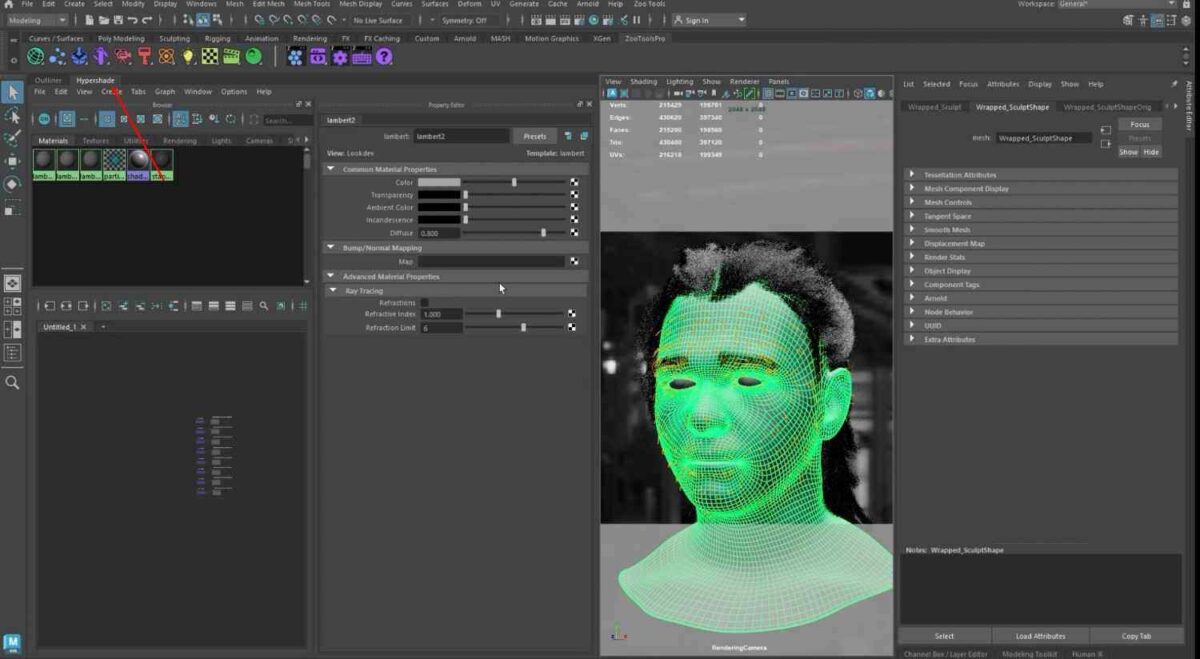 Face Rendering with Maya & Arnold: Practical Tutorial - Exercise