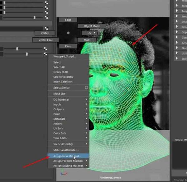 Face Rendering with Maya & Arnold: Practical Tutorial - Exercise