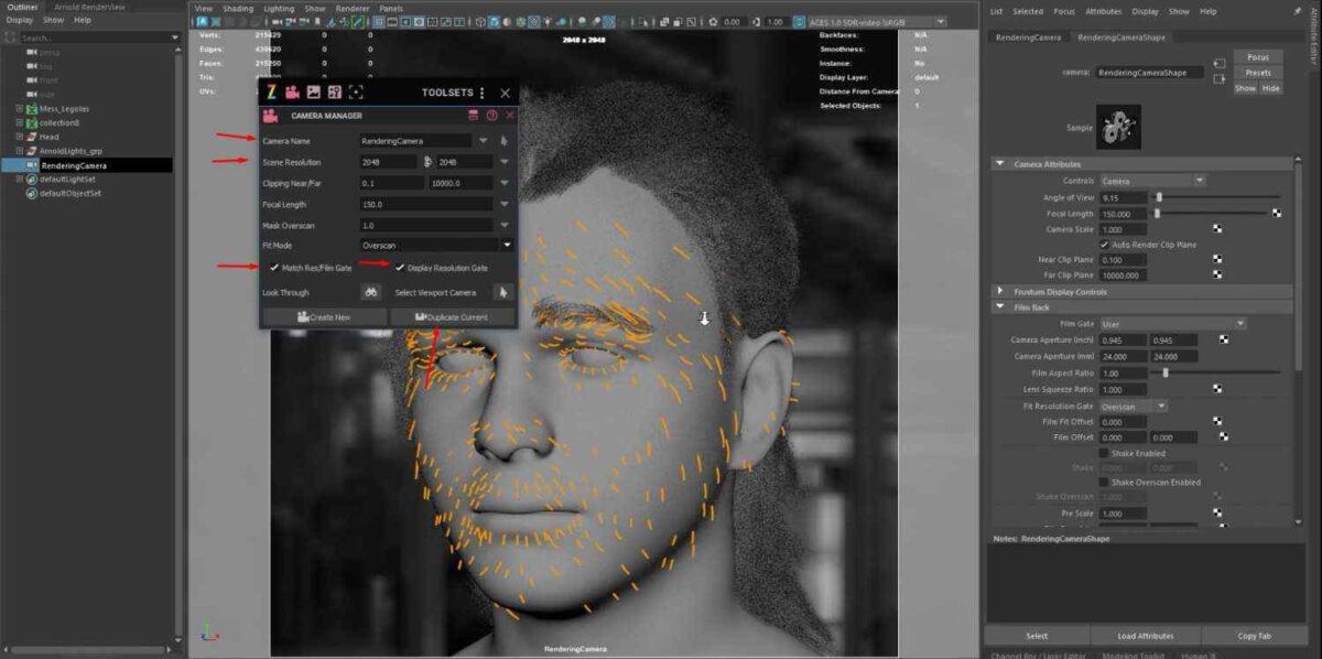 Face Rendering with Maya & Arnold: Practical Tutorial - Exercise