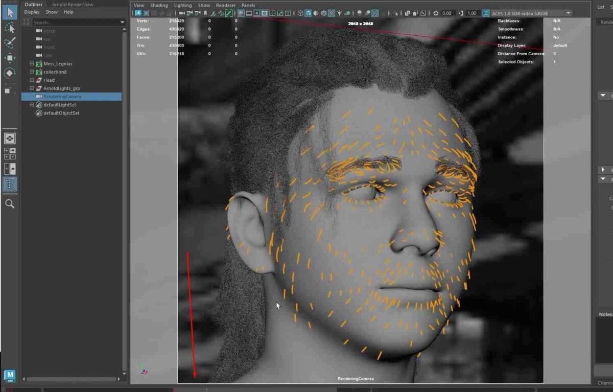Face Rendering with Maya & Arnold: Practical Tutorial - Exercise
