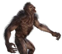 Texture Artist: Job Duties, Skills, Role & Responsibilities